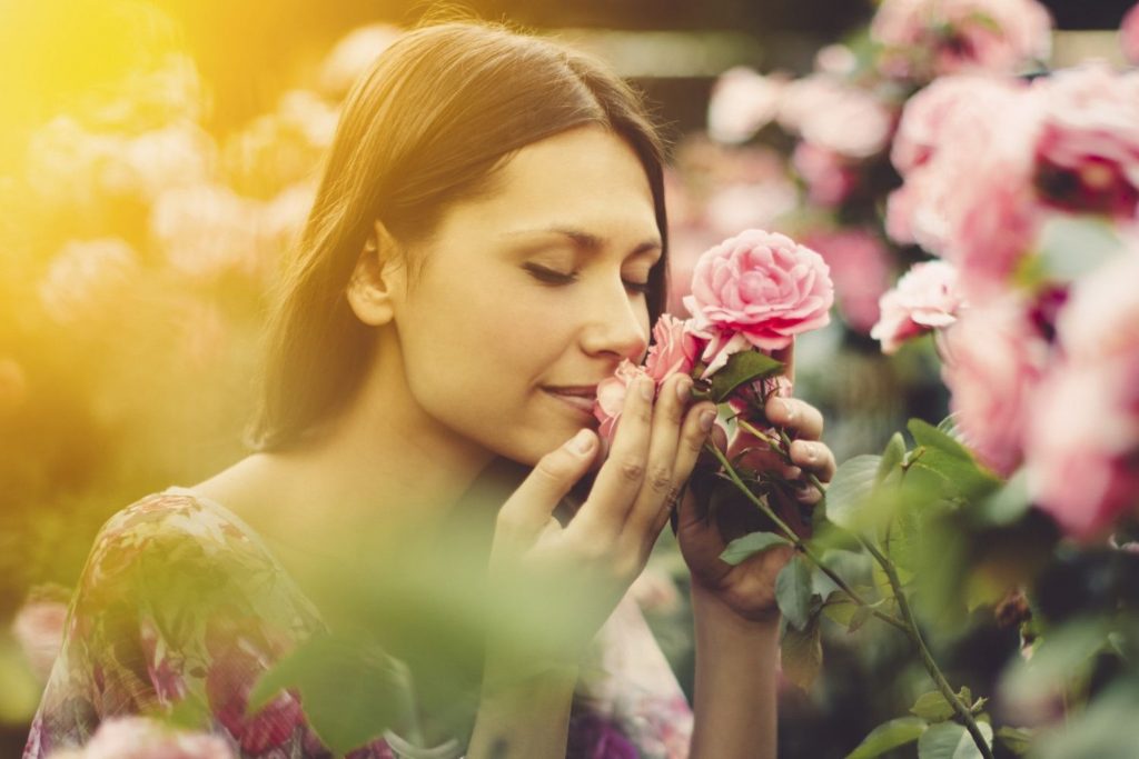 An Overview of Vaginal Odor - Vaginal Health Hub